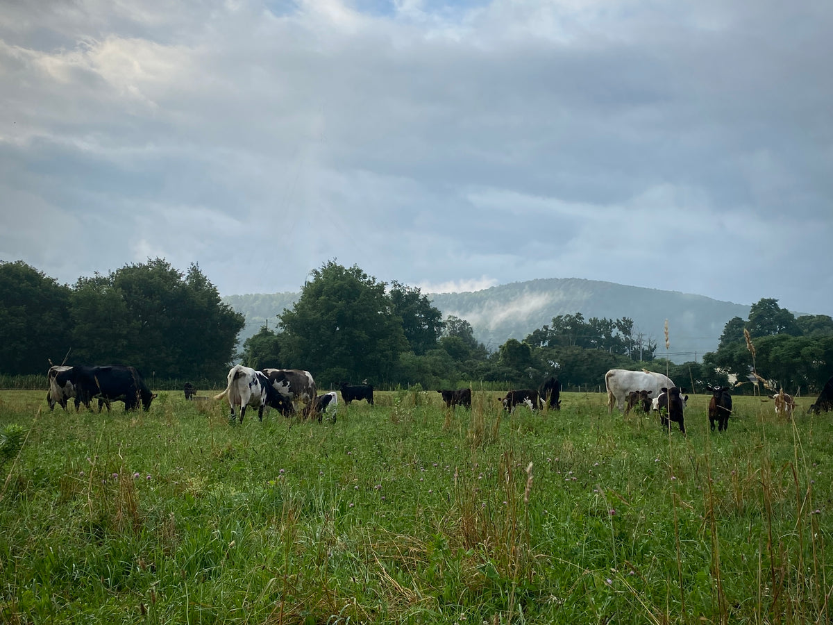 Clean Food 🌟 — Cobblestone Valley Farm